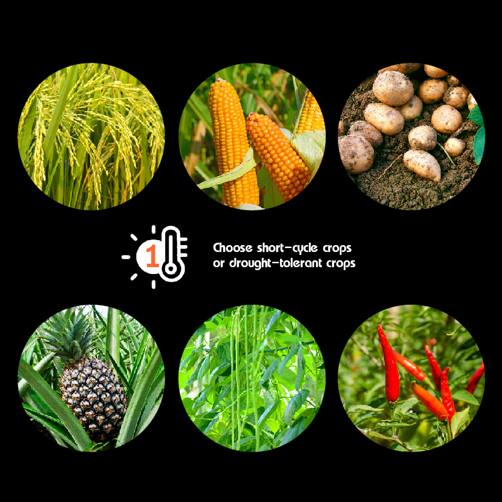 Drought-Resilient Crop Recommendations | Climate-Smart Farming ...