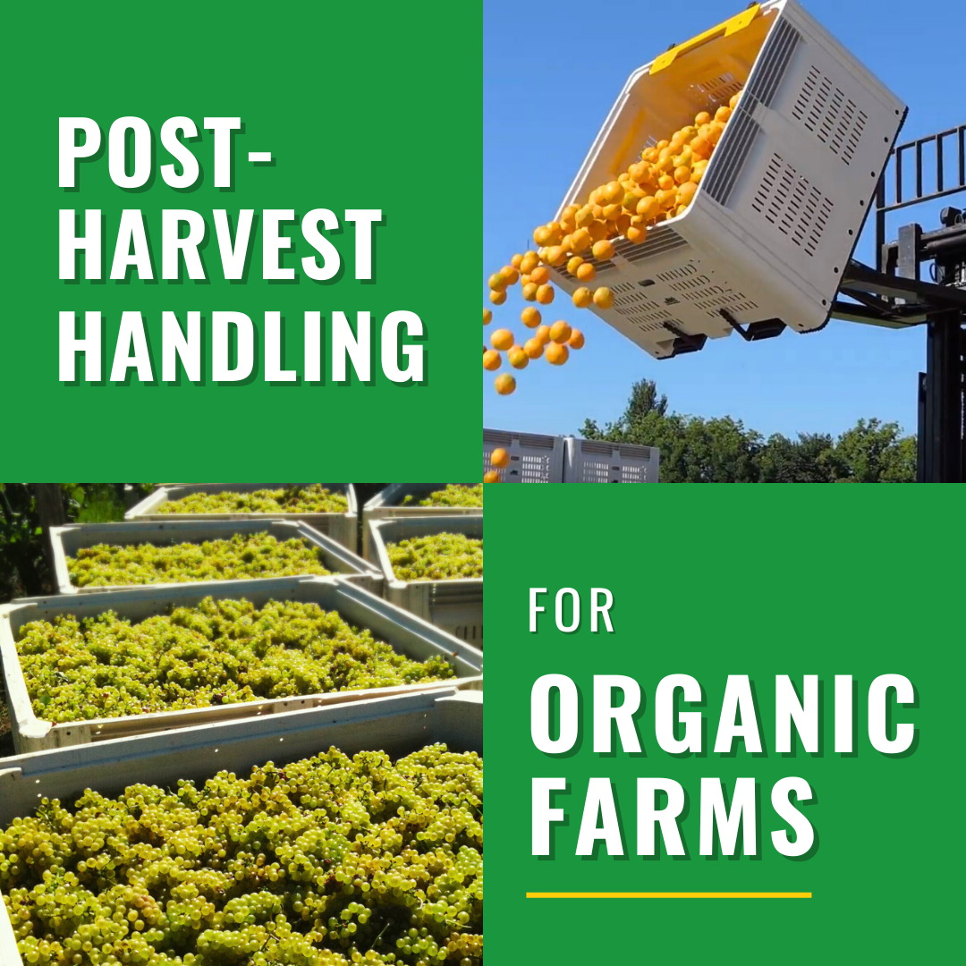 Post Harvest Handling Solutions Precise Science Post Harvest Handling Solutions Precise Science